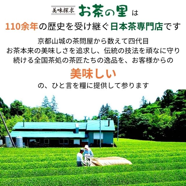 Premium sencha first picking 100g 2 bags set – お茶の通販なら美味探求 お茶の里